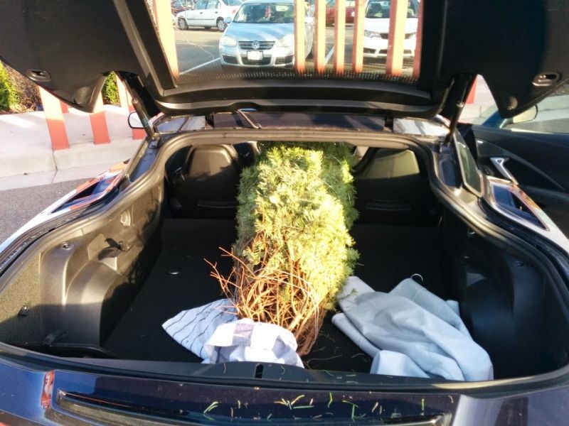 Here Are Your Appalling Stories Of Car Abuse