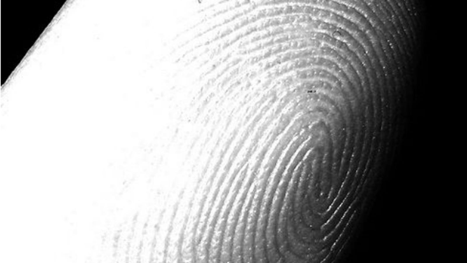 Log Into Ubuntu with Your Fingerprint