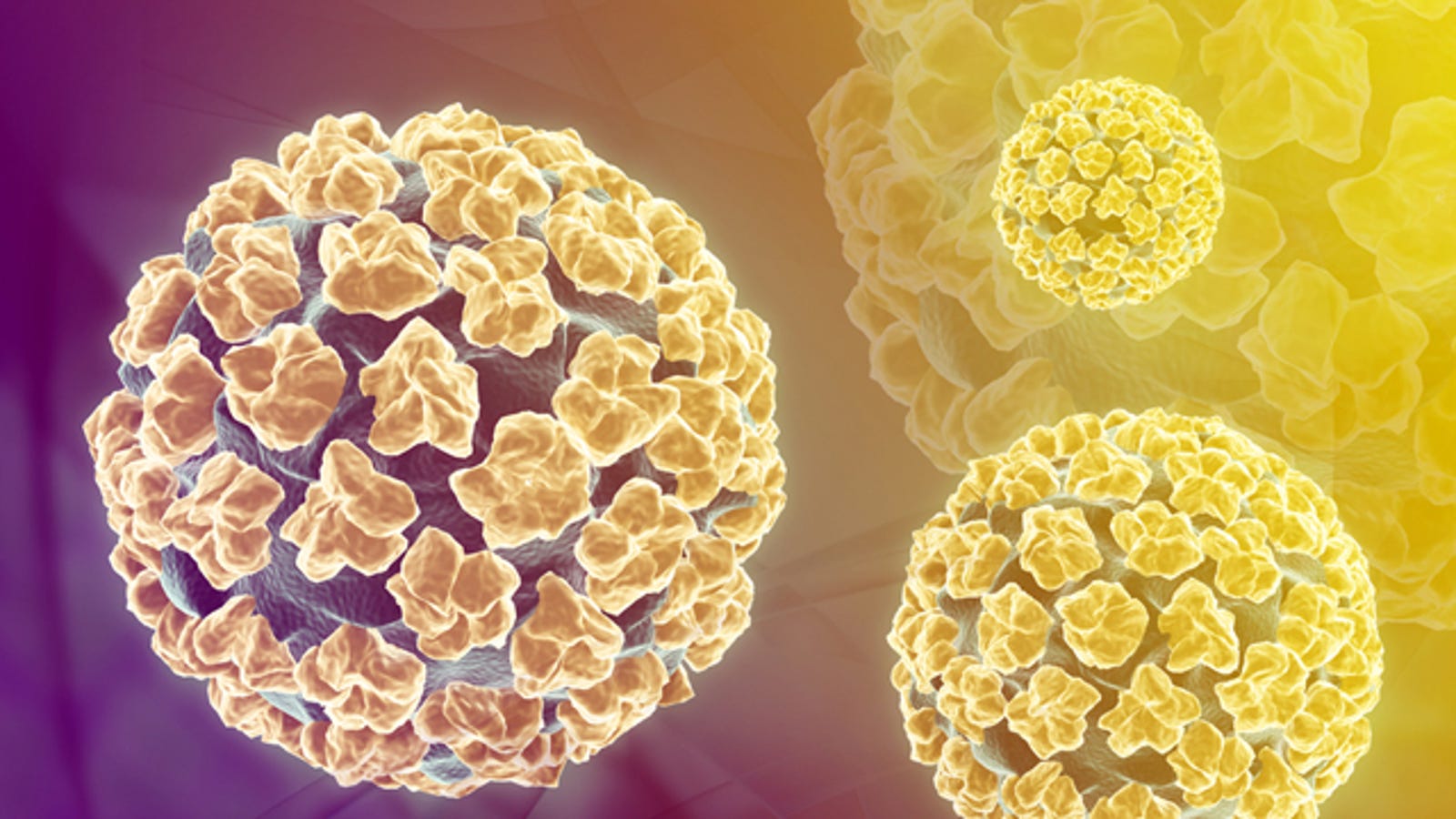 Women Can Effectively Test Themselves For HPV Women Can Effectively Test Themselves For HPV