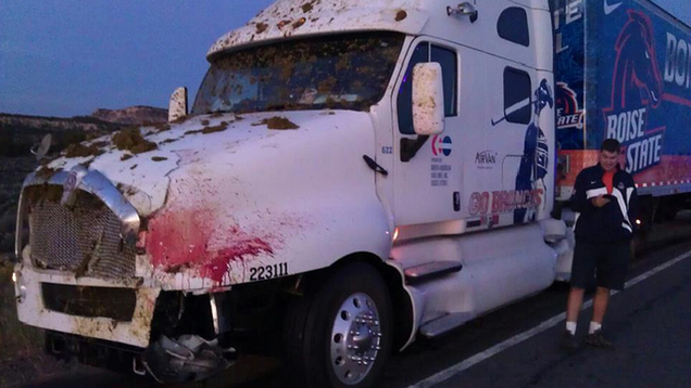 A Boise State Equipment Truck Hit A Cow, And Someone Took A Picture Of ...
