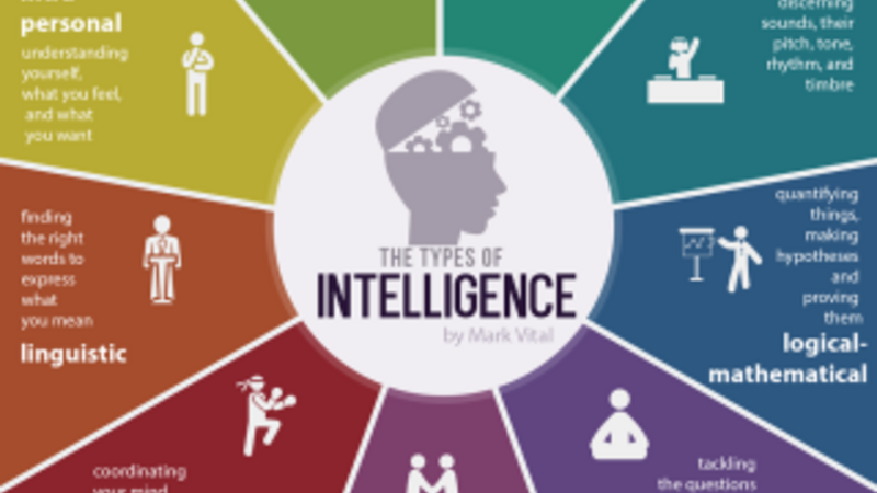 The Nine Types of Intelligence Every Person Has