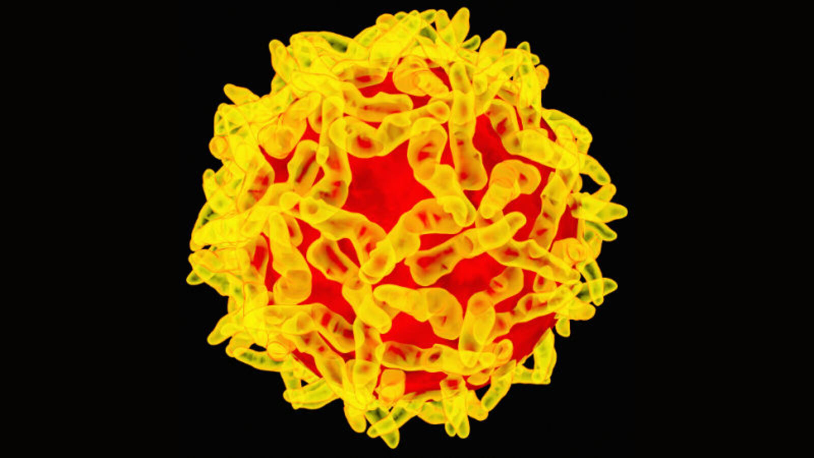 Oh Great, Another Awful Tropical Disease We Have to Worry About