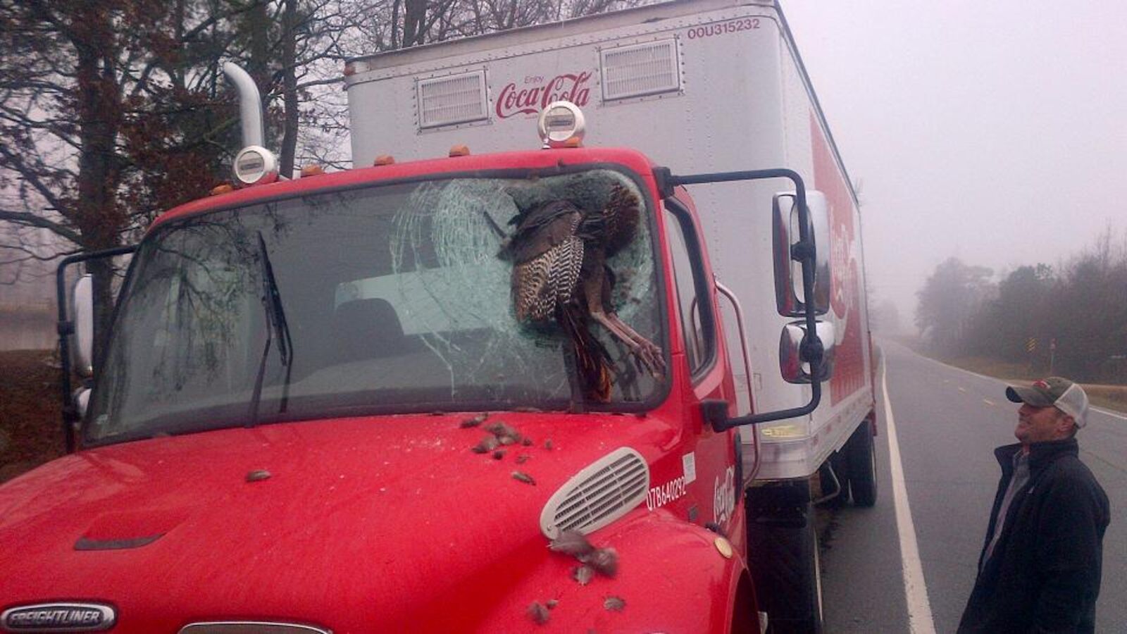 Turkey Crash Gallery