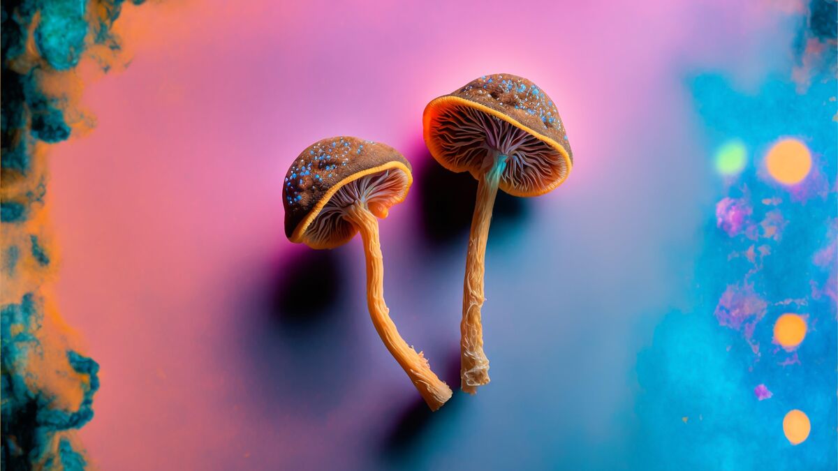 Psilocybin Plus Therapy Can Help Treat Depression Symptoms, Study Finds