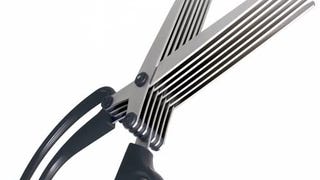 The Extraordinary Evolution of Scissors