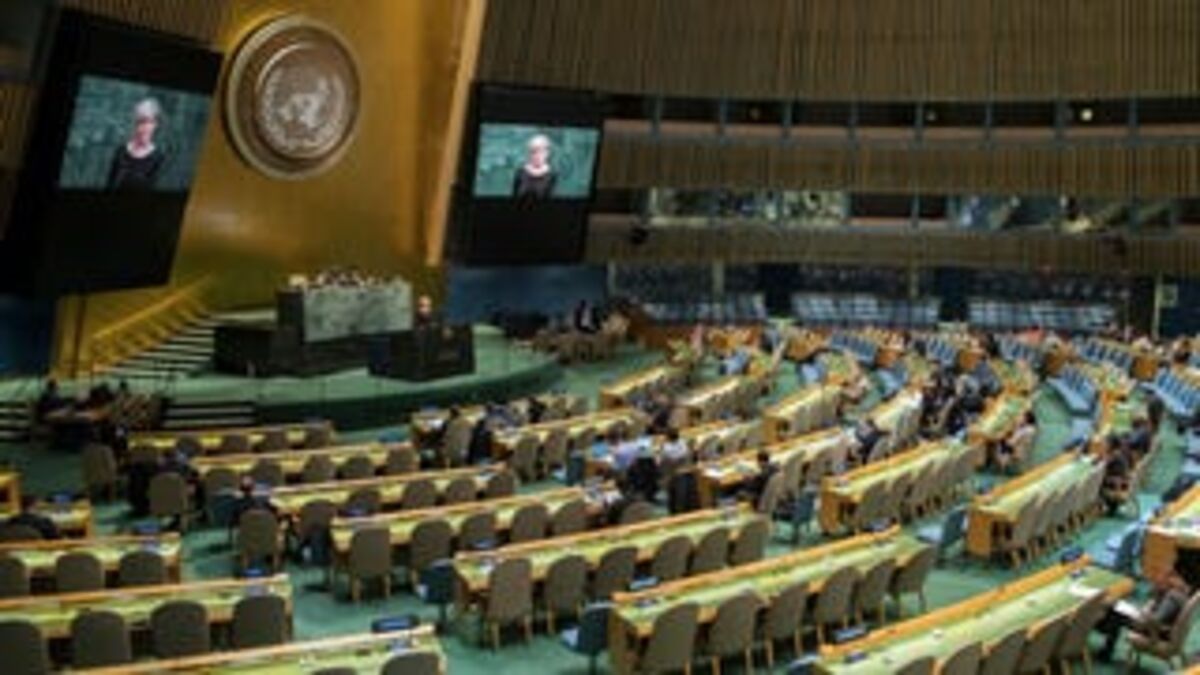 What is the UN general assembly and why do we need the UN?