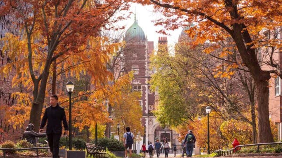 The 10 college campuses most worth moving to