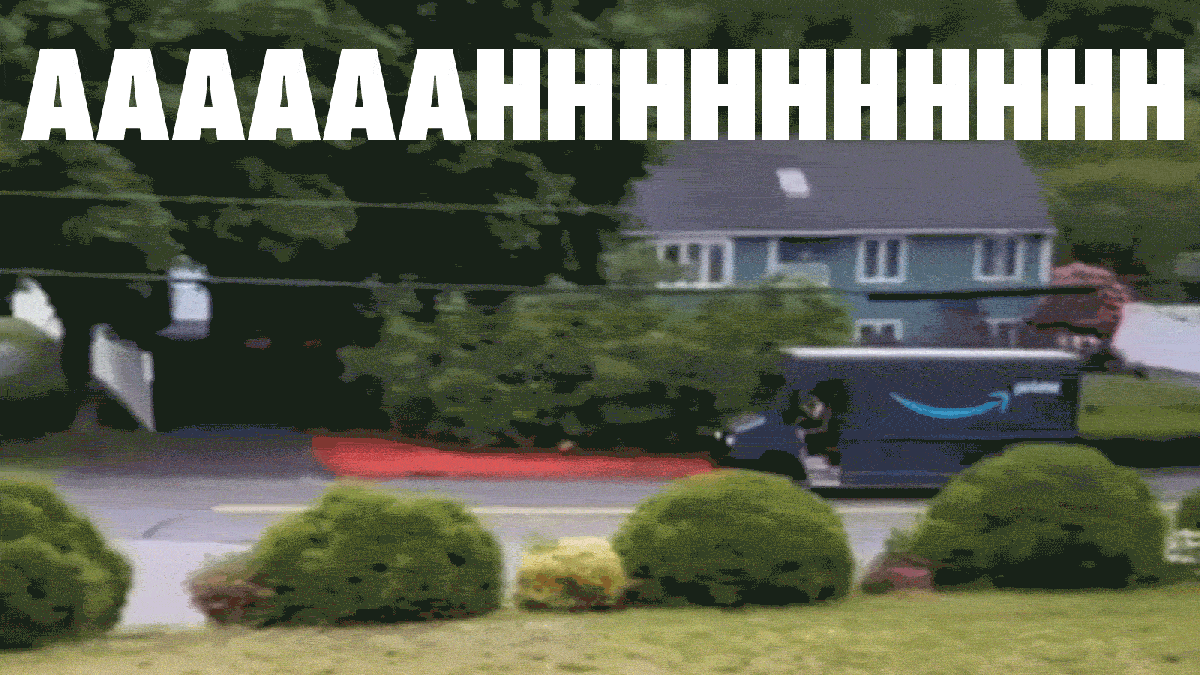 Screaming Amazon Driver Shows What Is Wrong With America