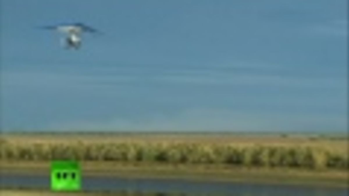 Vladimir Putin Dressed Like A Bird And Flew With Endangered Cranes