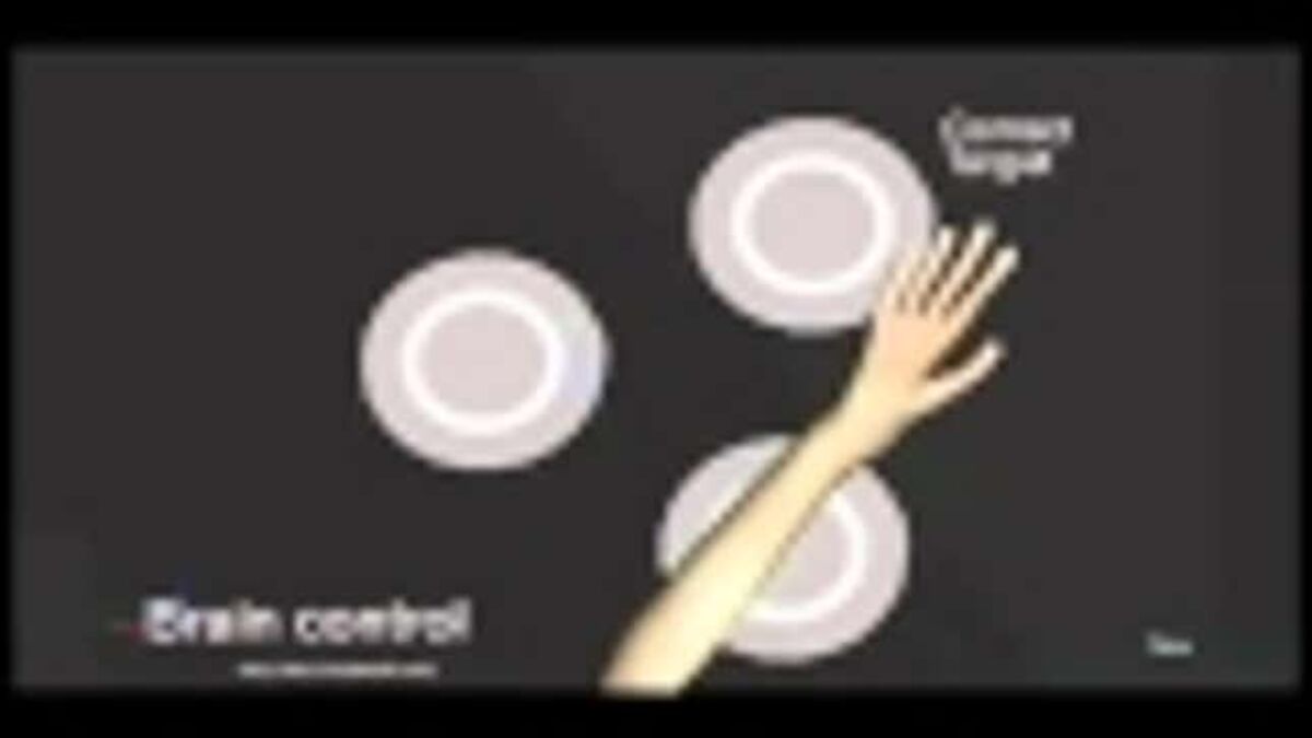 Biotech Breakthrough: Monkeys can feel virtual objects using a brain ...