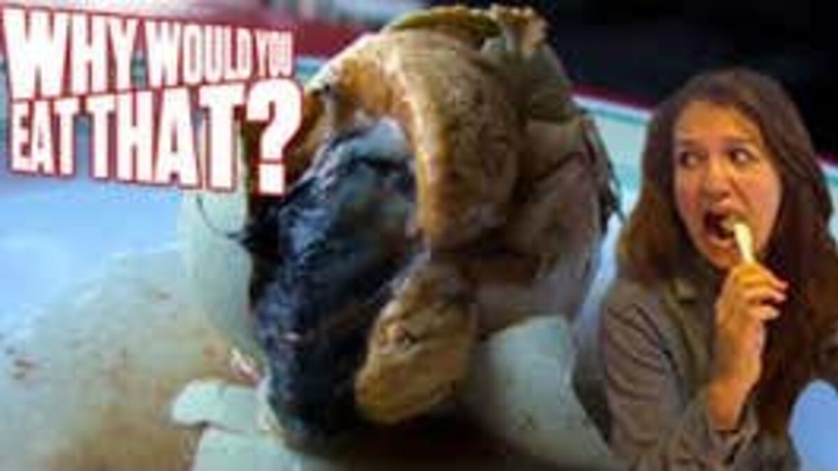 The Weirdest and Most Revolting Foods That You Could Actually Eat