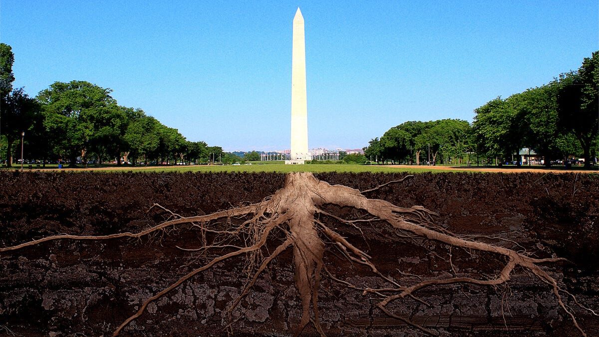 Biologists Discover Roots Of Washington Monument Have Spread Over 400 ...
