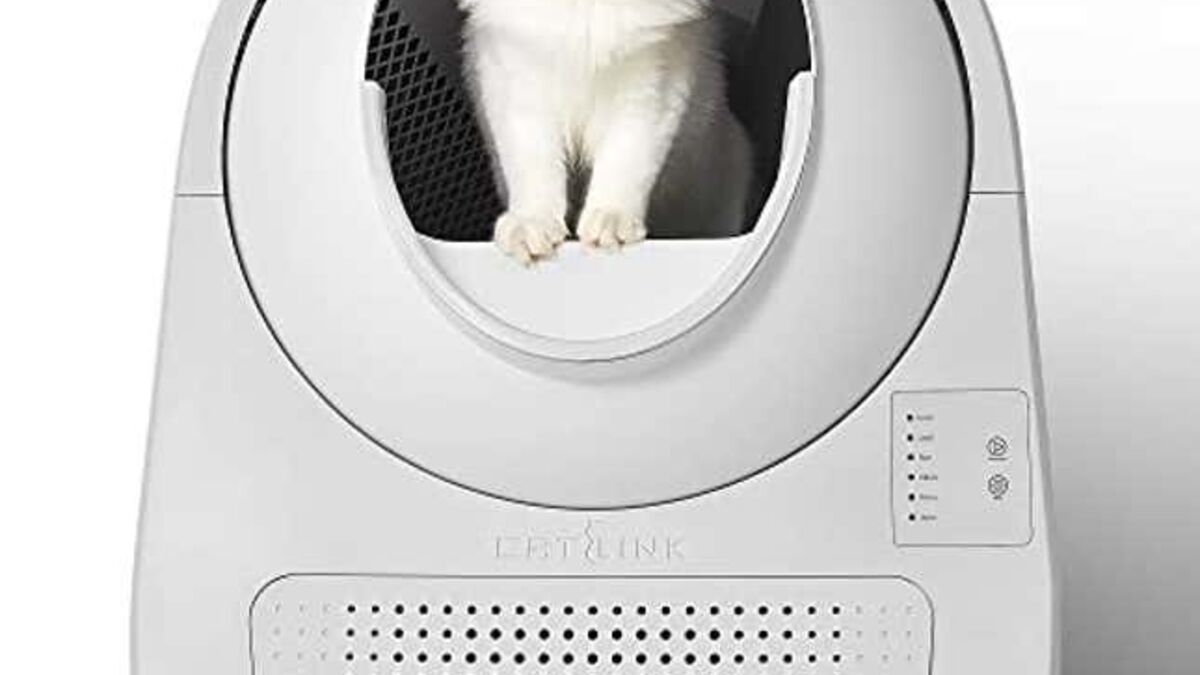 Revolutionize Your Cat Care with CATLINK Automatic Self Cleaning Cat ...