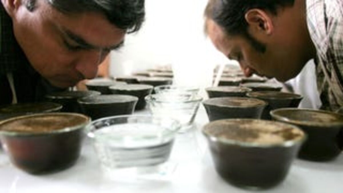 The fascinating science behind your tastes and preferences