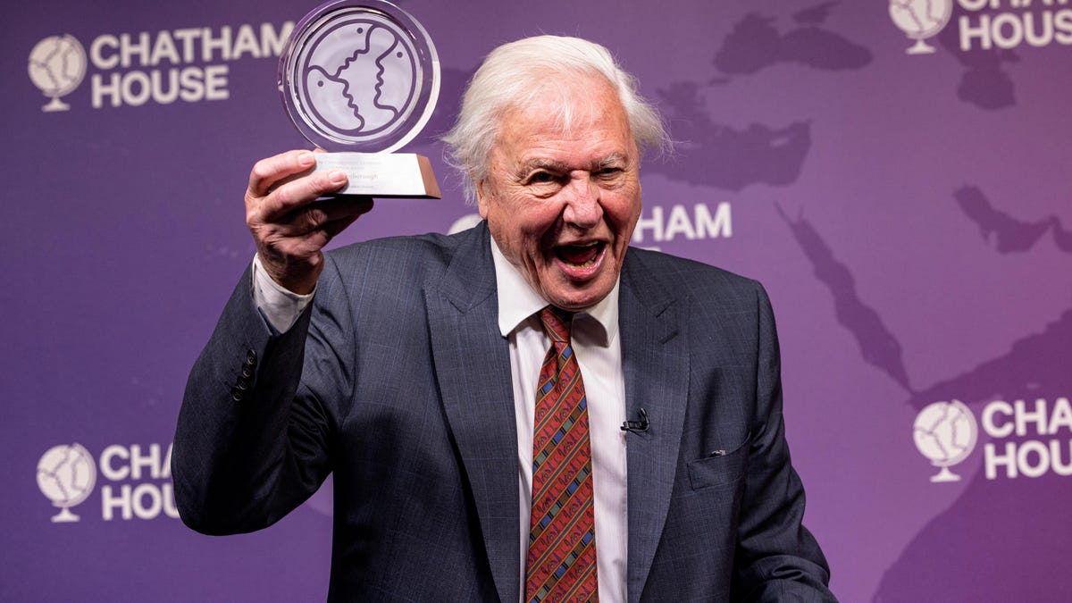 97-year-old daredevil Sir David Attenborough begins filming on Planet ... 97-year-old daredevil Sir David Attenborough begins filming on Planet ...