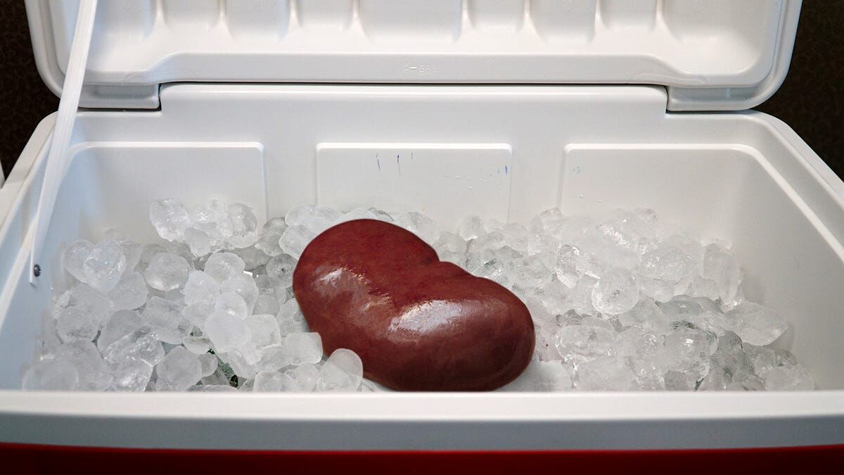 Kidney Freaking Out After Waking Up In Cooler Full Of Ice With Rest Of ...