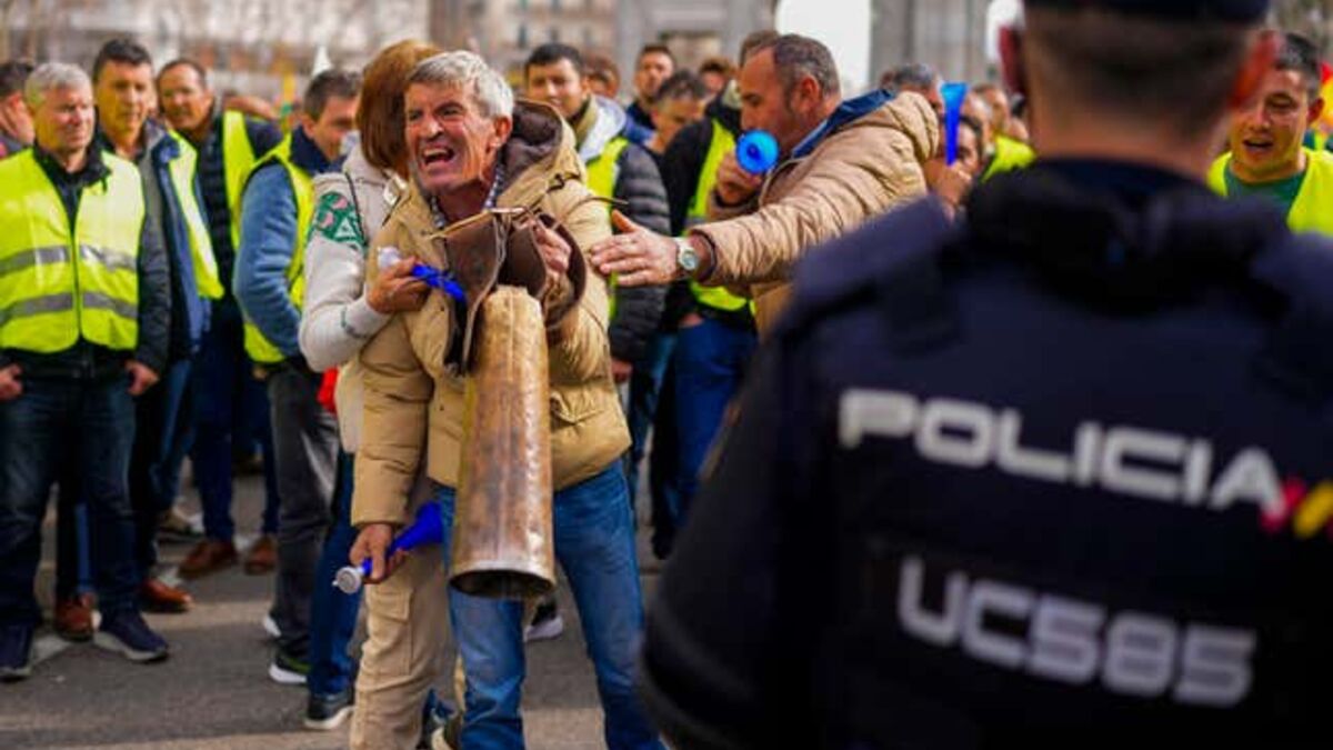 Thousands of farmers advance on Madrid for a major tractor protest over ...