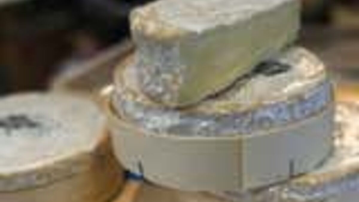 France remains 'le grand fromage' in the European Union, and Camembert ...