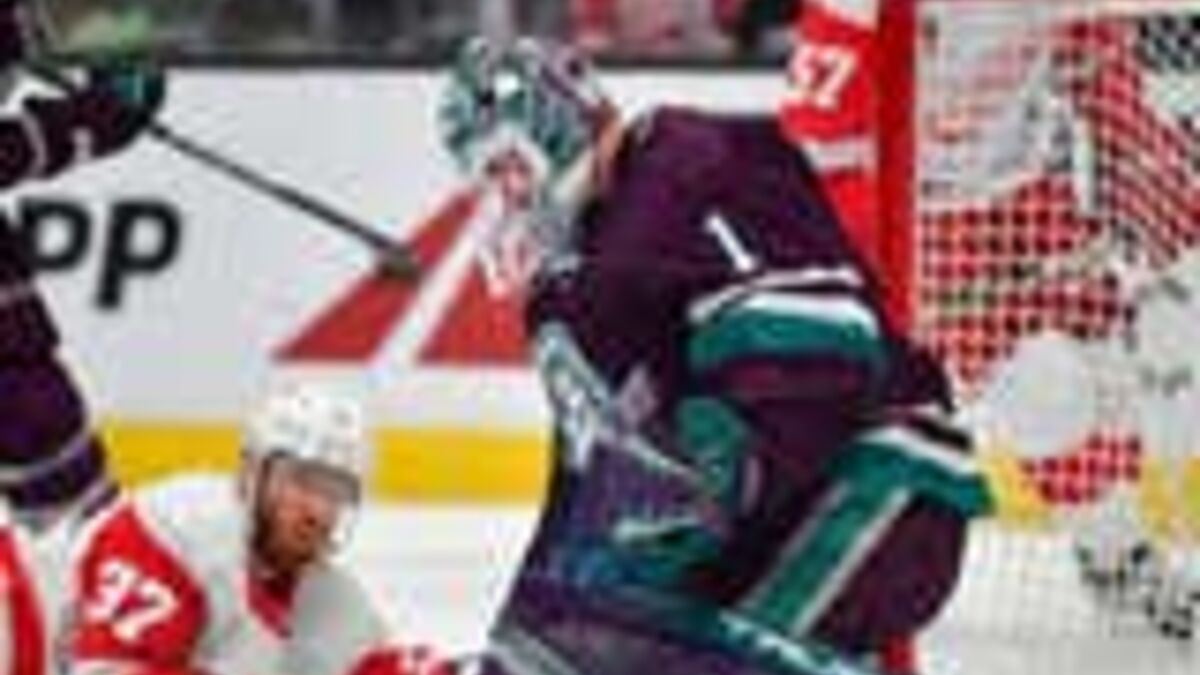 Red Wings top Ducks, complete West Coast road sweep