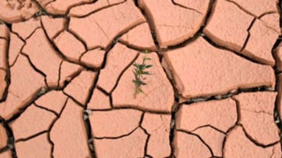 Green New Deal must recognize rare earth metals to fight climate change