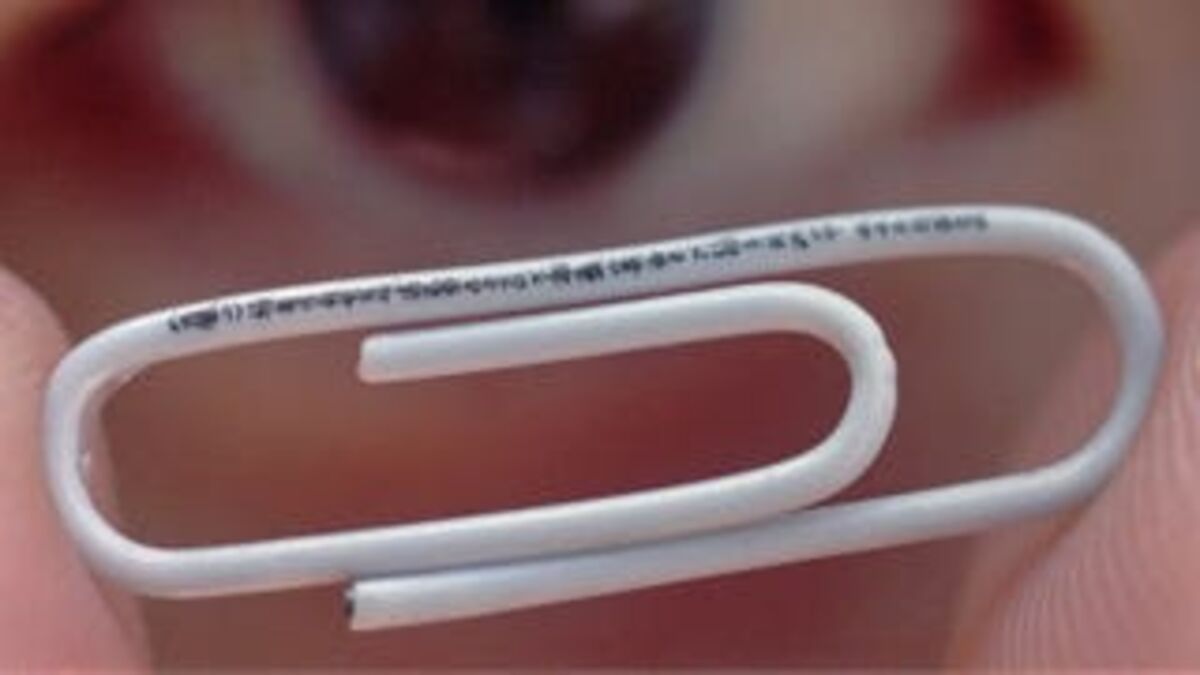 Artificial intelligence's "paper-clip maximizer" metaphor can explain ...