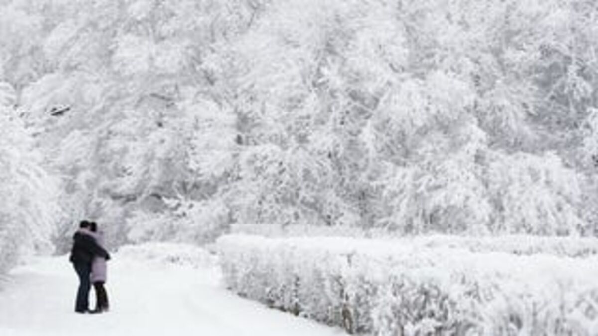 Expect less snow this Christmas thanks to climate change