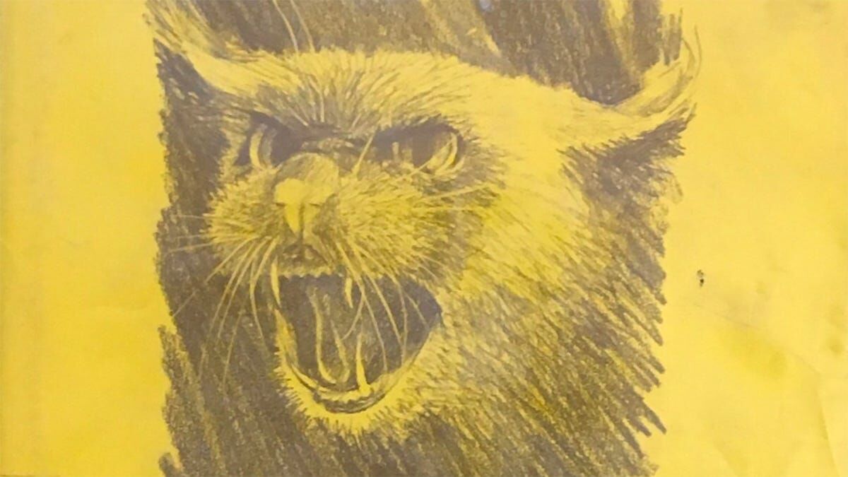 The Witches of Worm Contemporary Review - YA Evil Cat Book