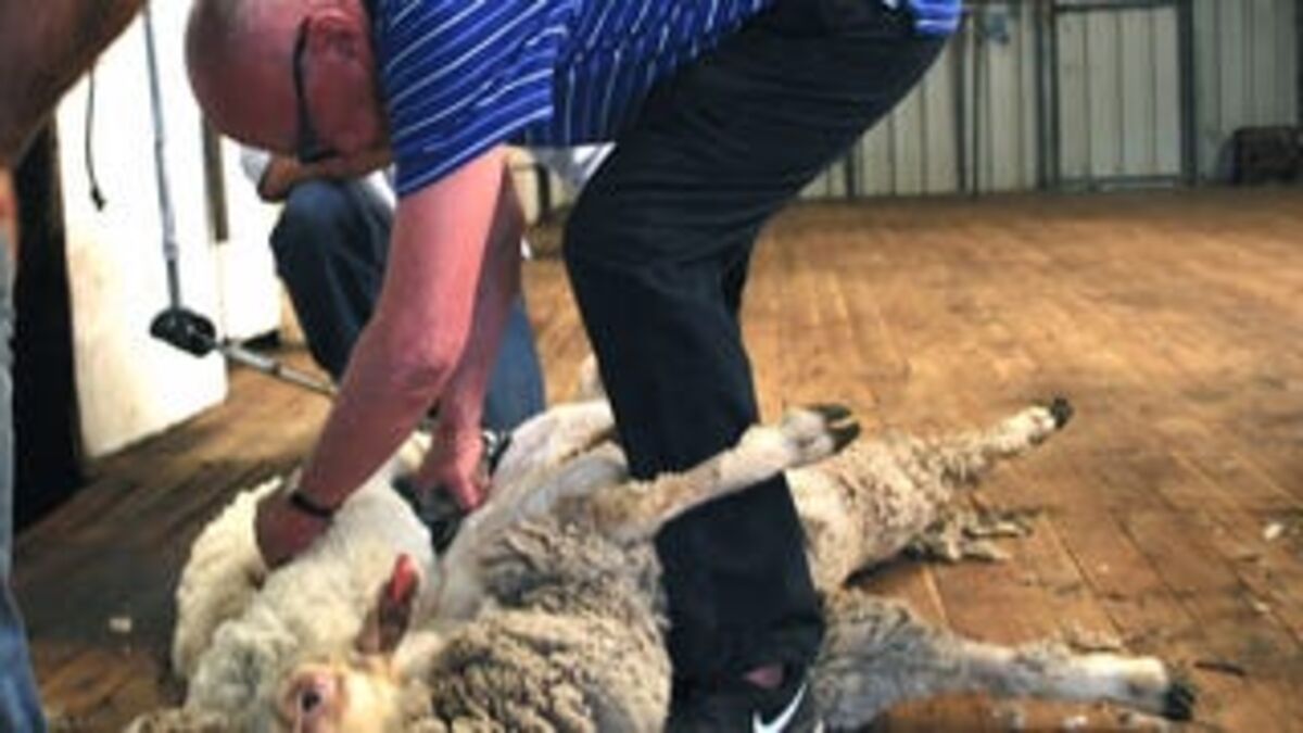 Rupert Murdoch is on Tumblr, and the photos are kind of amazing