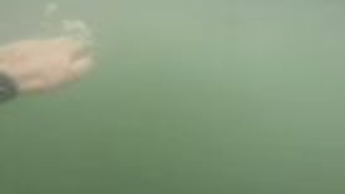 Swimming From Alcatraz to Shore With a GoPro on My Head