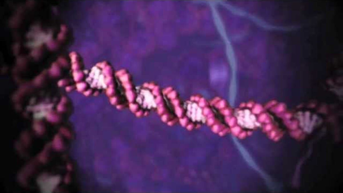 Animator Drew Berry Explains How To Get A Job In Science Art