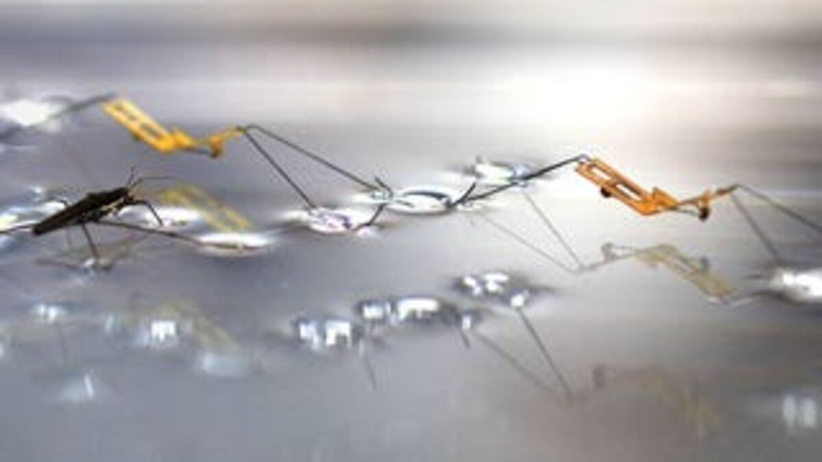 Scientists have built a robot that can jump on water by copying the ...