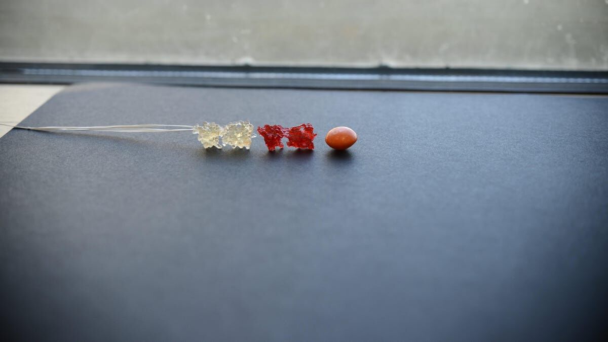 Scientists Create Edible Models to Help Kids Learn Chemistry