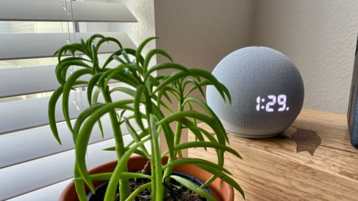 Alexa Can Share Songs You're Listening to With Friends