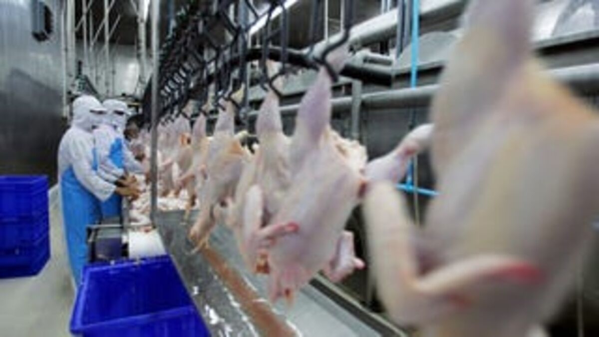 Health Department Gives Tyson Plant ‘D’ Grade After Discovering Raw ...