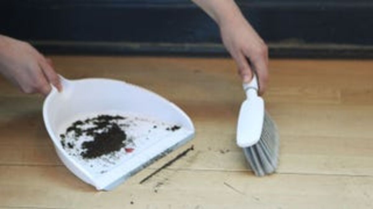 Narrow Line Of Dirt Not Being Swept Into Dustpan Without A Fight