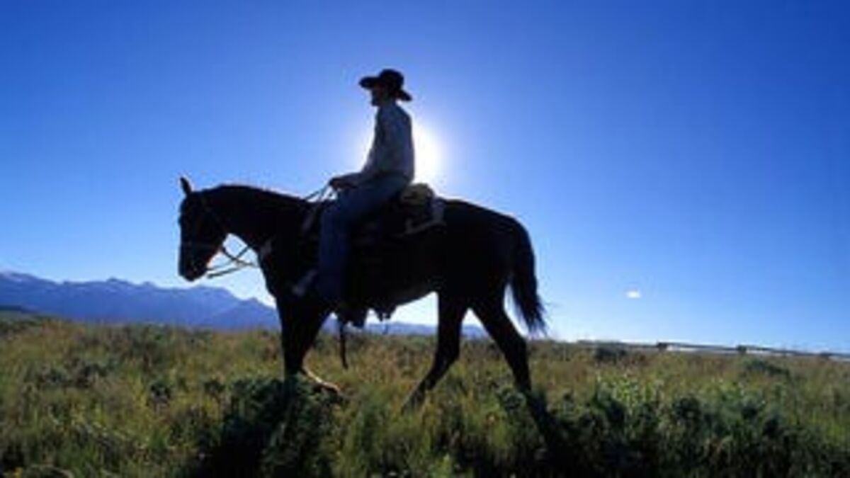America's Cowboys Suffering From Restless Heart Syndrome