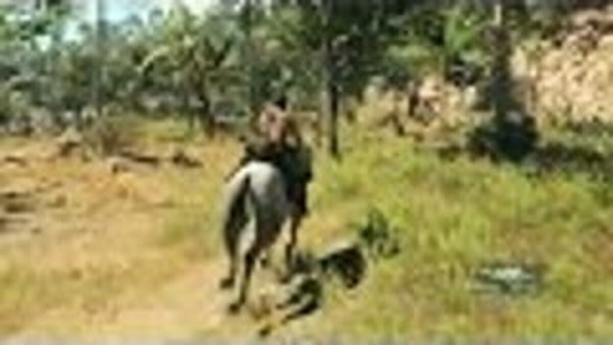 Why Snake Is The Best Climber In Video Game History