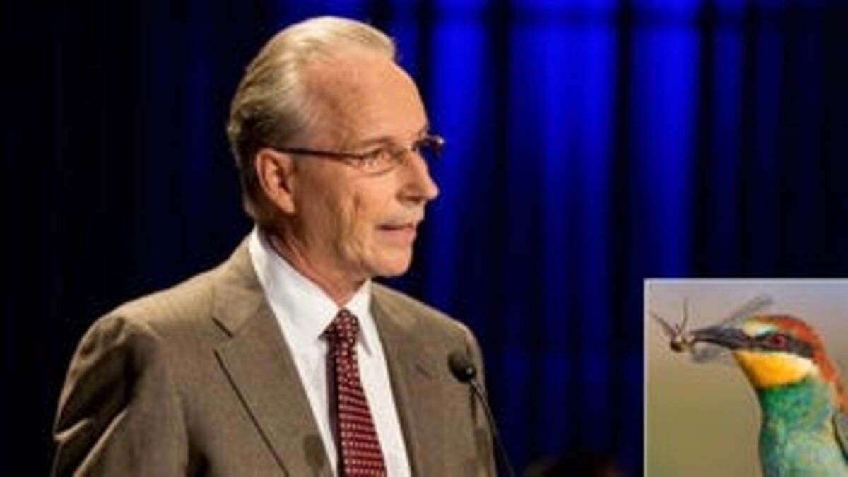 Ecologists Urge Birds To Avert Global Decline Of Insects By Adopting ...