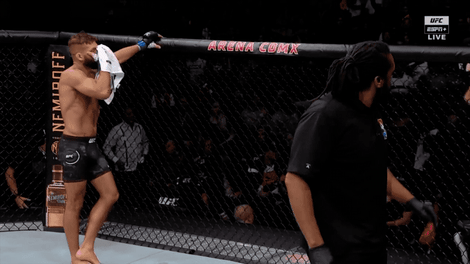 Crowd Gets Furious After UFC Main Event Stoppage; Announcer Hides Under ...