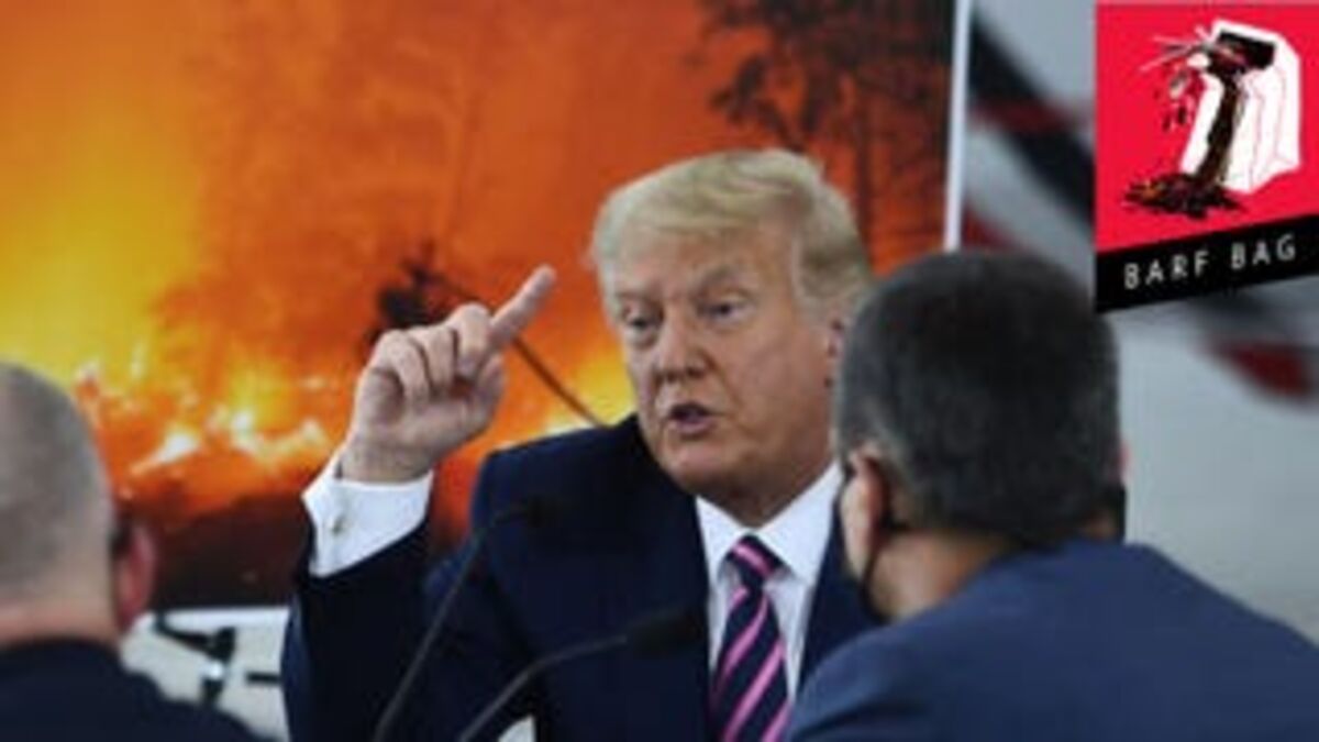 Donald Trump Blames Wildfires on 'Explosive' Trees