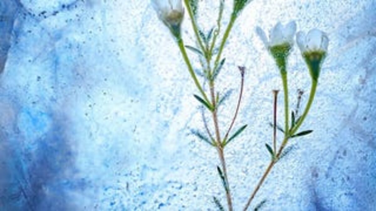 I Want to Lie Under This Full Body Ice Pack All Summer Long