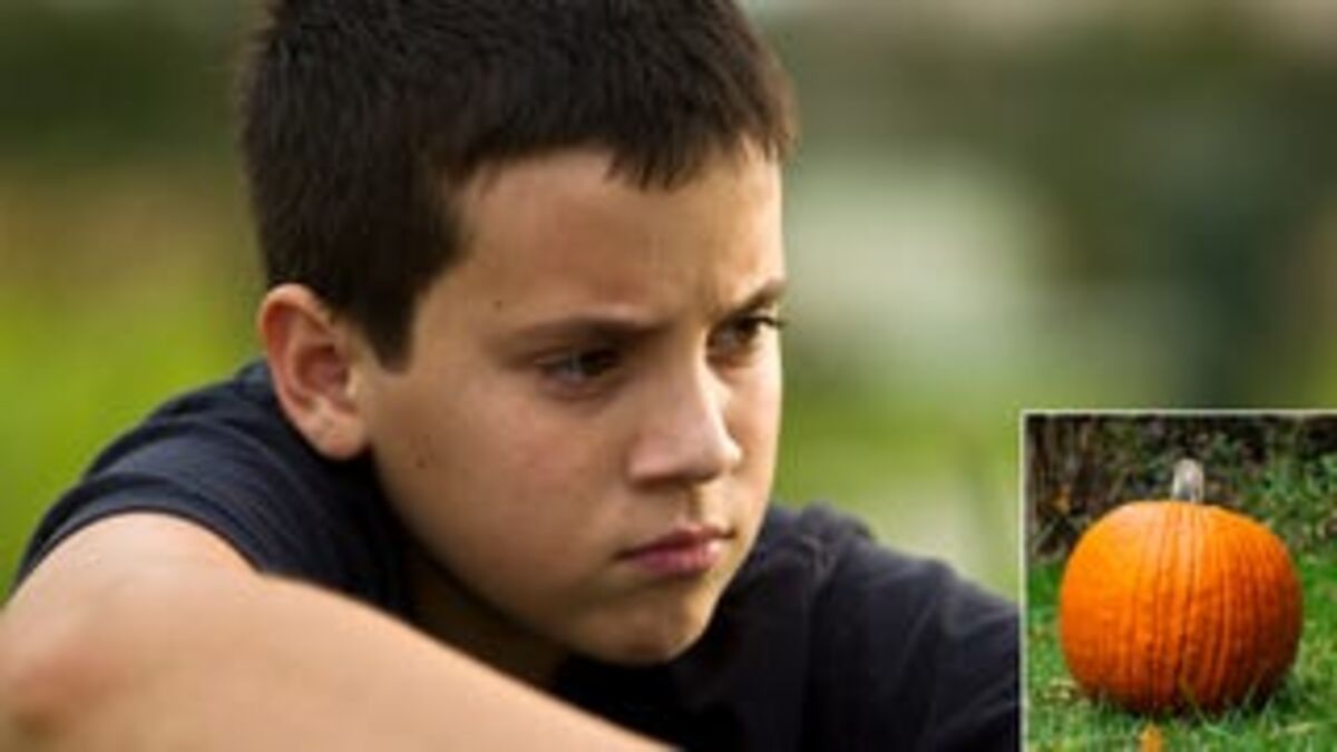 Farmer’s Child Forced To Slaughter Pumpkin They Spent Season Caring For