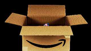 Amazon Prime Day, Ariana Grande, and My Quest for Meaning in a Giant Box