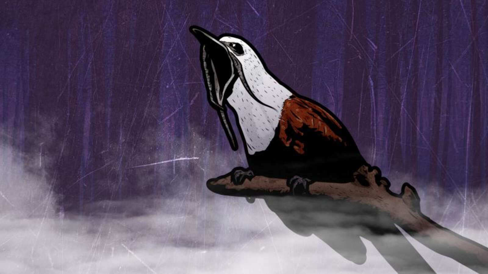 Spooky Shrieking Bird Looks and Sounds Like Something Out of a Horror Movie