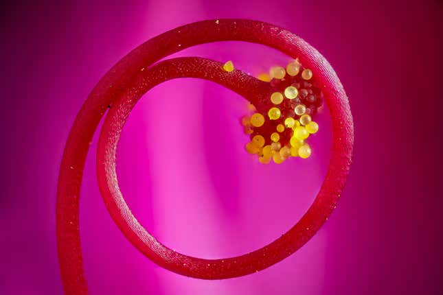 Here Are Some of the Freakiest Images of the Microscopic World Here Are Some of the Freakiest Images of the Microscopic World
