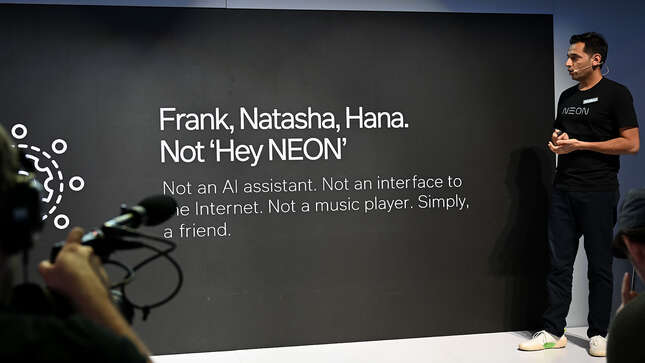 A Closer Look Into Neon and Its Artificial Humans