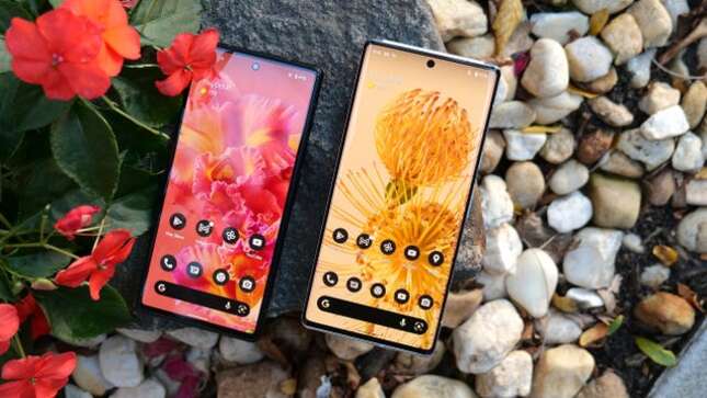 Google Pixel 6 Review: So Good, Why Buy Anything Else?