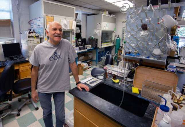 Blood Feasts and Roach Vacuums: The Life of an Urban Pest Scientist