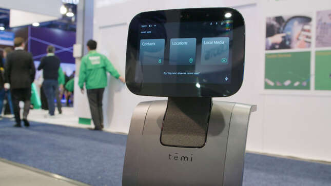 You Can Finally Buy a Robot That Will Be Your Friend