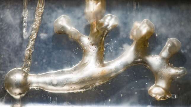 How a Roller Coaster Can Help You Pass a Kidney Stone